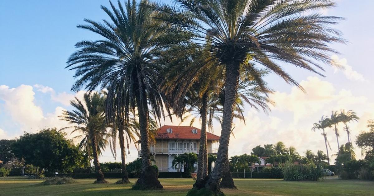 Entre mythes et réalité, la maison Zevallos vous ouvre ses portes